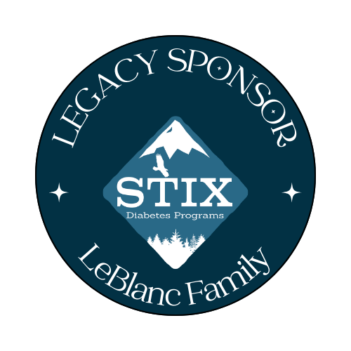 Annual Fundraising Auction | STIX Diabetes Programs
