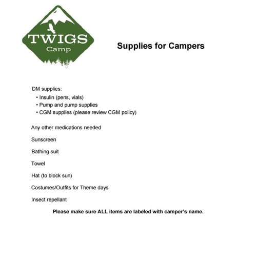 Camp TWIGS | STIX Diabetes Programs